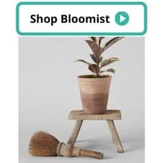 18 Best Organic Eco-Friendly Home Decor Brands | Green Snooze