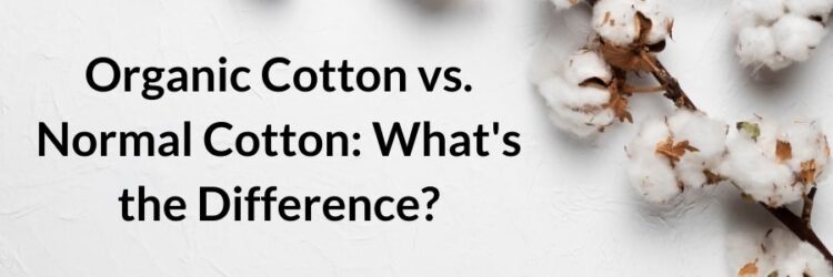Organic Cotton vs. Normal Cotton: What’s the Difference? – Green Snooze