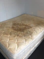 Mold in Mattress Symptoms and Solutions | Green Snooze